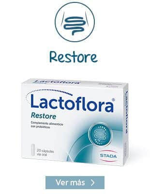 Probióticos y prebióticos para la flora intestinal - Lactoflora