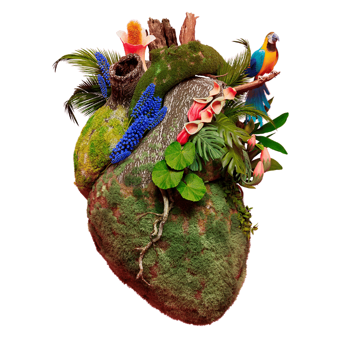 Probióticos y prebióticos para la microbiota - Lactoflora